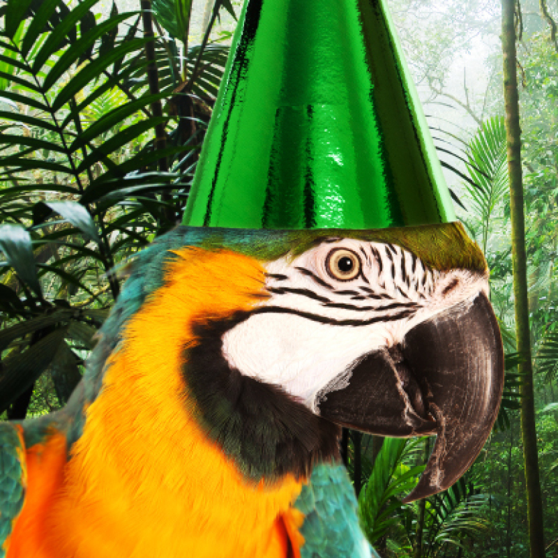 Your Birthday at Amazonia | Scotland's Theme Park